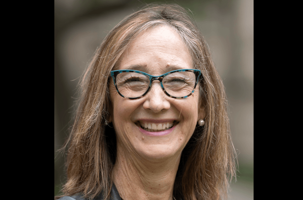 Professor Stokes: Democracy Will Survive and Can Return More Robust - ECPS