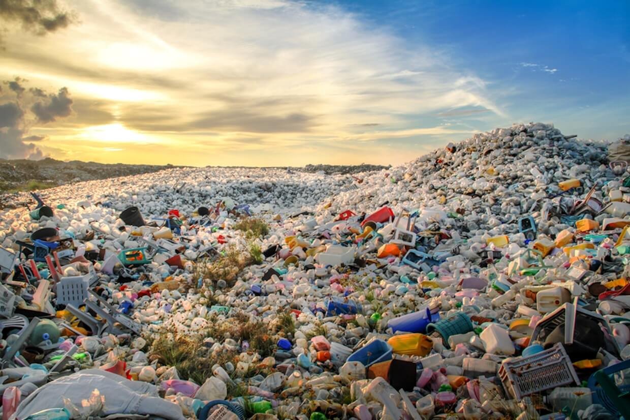 Algorithmic Populism and the Politics of Waste: How AI Reproduces ...